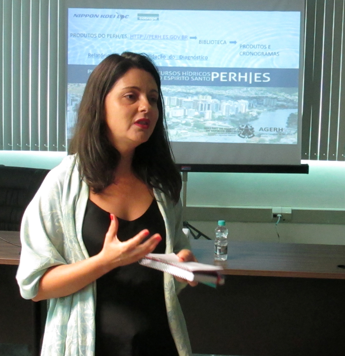 PERH/ES - Alegre recebe segunda Consulta Pública do Prognóstico do PERH/ES